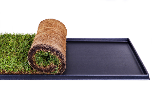 Fresh Patch - Real Grass Pee Pad for Dogs