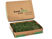 Fresh Patch Mini - All-Natural Dog Toilet for Apartments