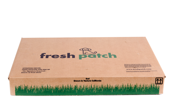 Small Fresh Patch Real Grass Dog Potty